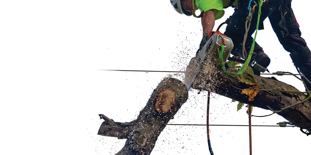 Out in the Open - Electrical Contractor Magazine