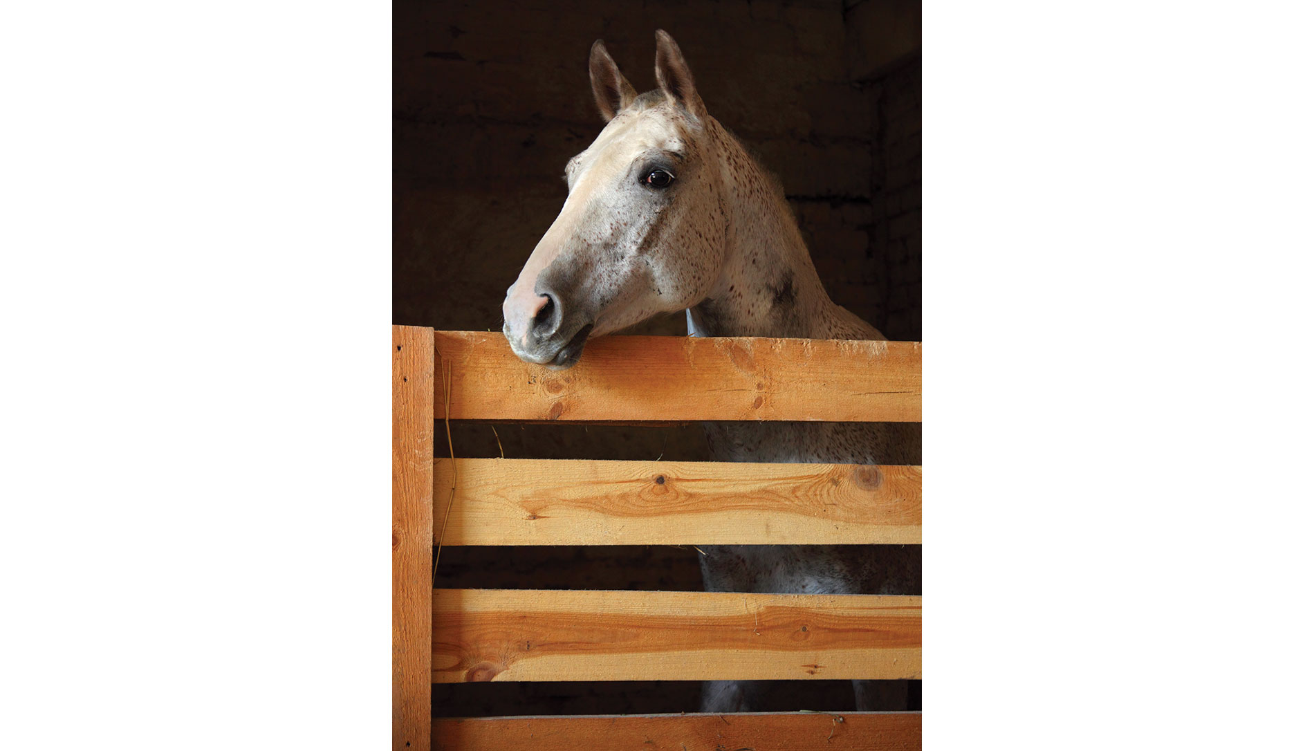 Wiring Types for Barns, Flexible Fittings and More - Electrical ...