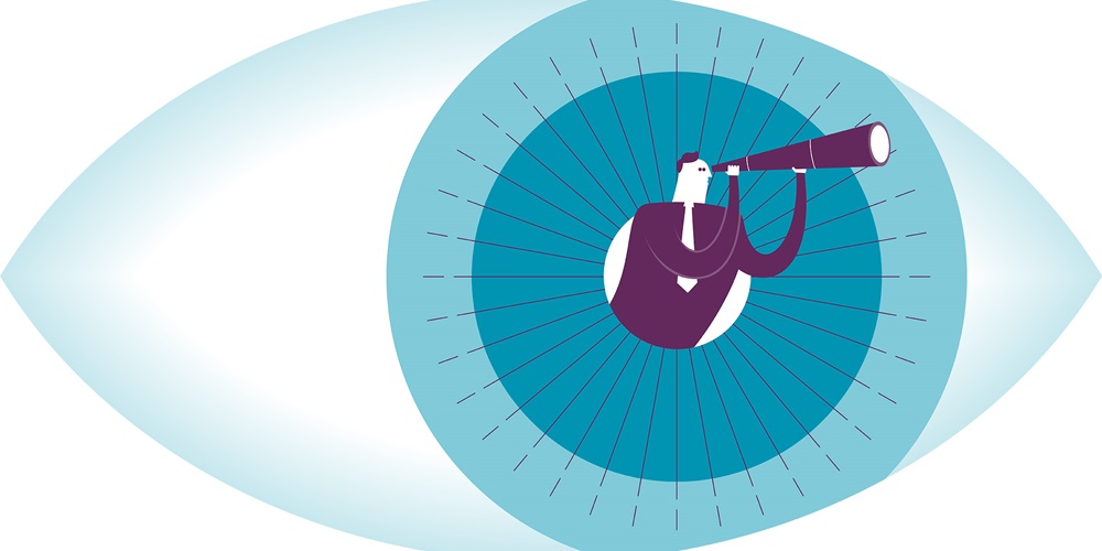 An Objective Set of Eyes: The value of third-party assessments in ...
