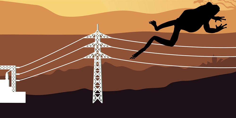 Leapfrogging Over Poles and Wires: Decentralization, Decarbonization ...