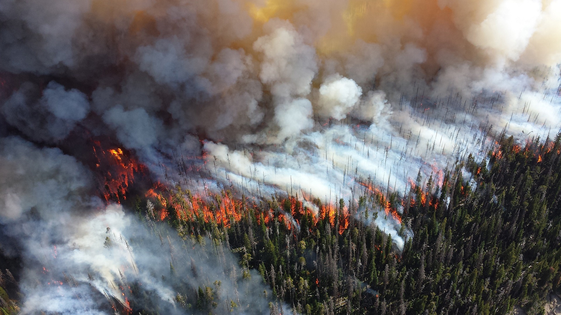 PG&E Releases Some Details on Camp Fire Cause - Electrical Contractor ...