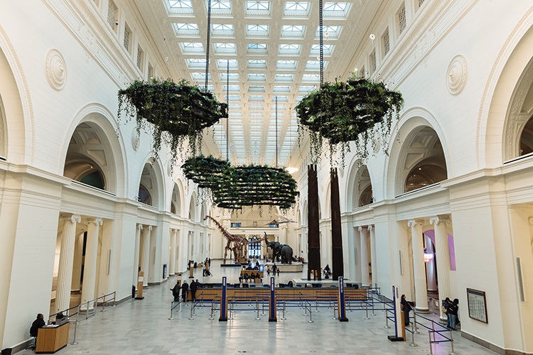 On Display: From interactive exhibits to smart surveillance, museums ...