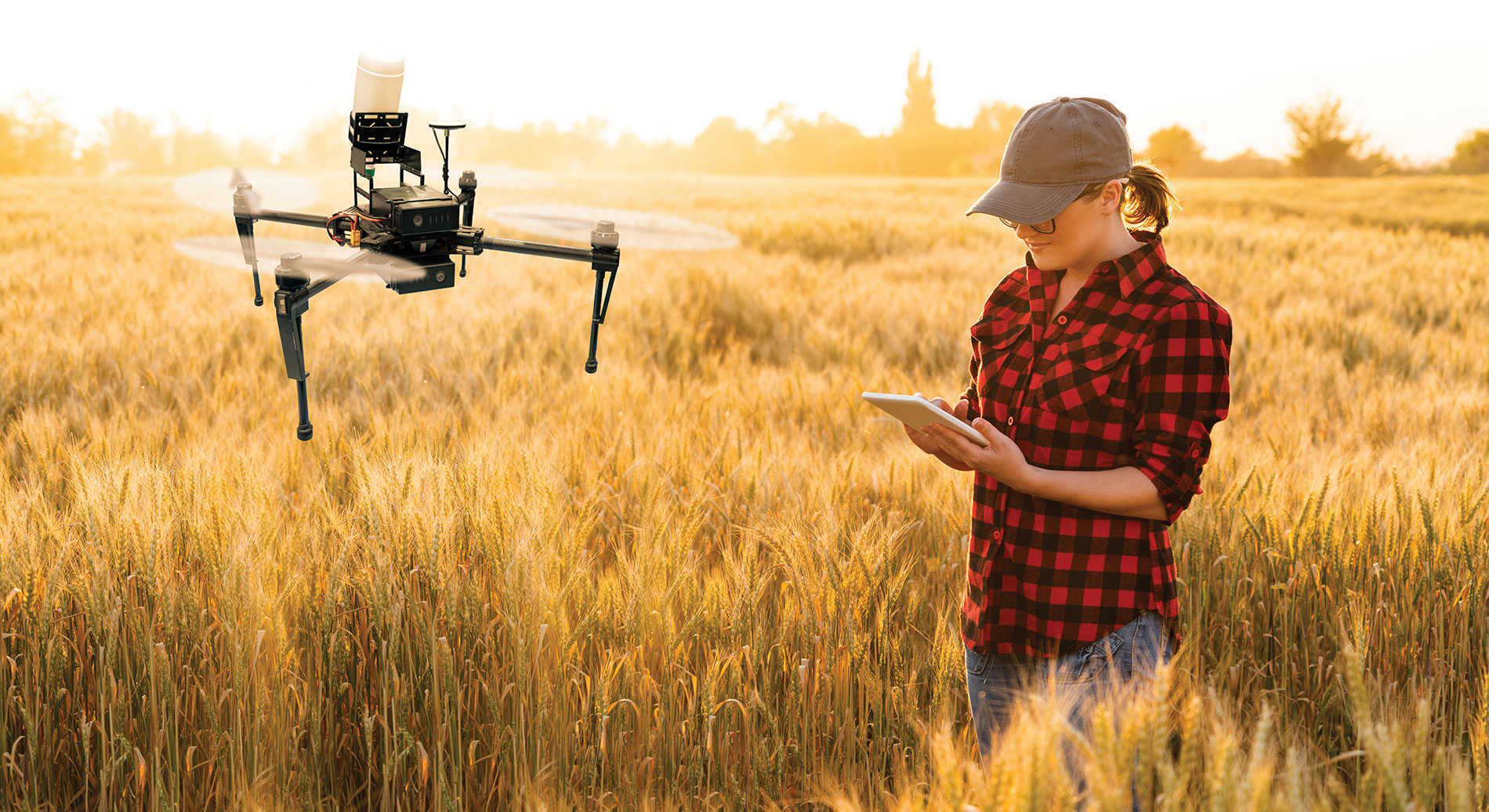 The Digital Farm: Connectivity and IoT are transforming modern ...