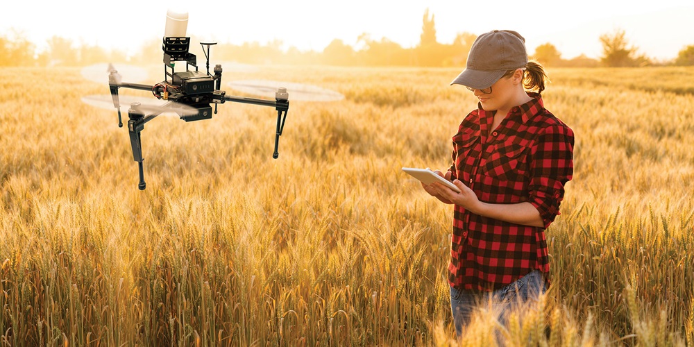 The Digital Farm: Connectivity and IoT are transforming modern ...