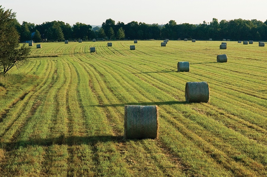 USDA Announces Funding For Rural Electric Infrastructure Projects ...