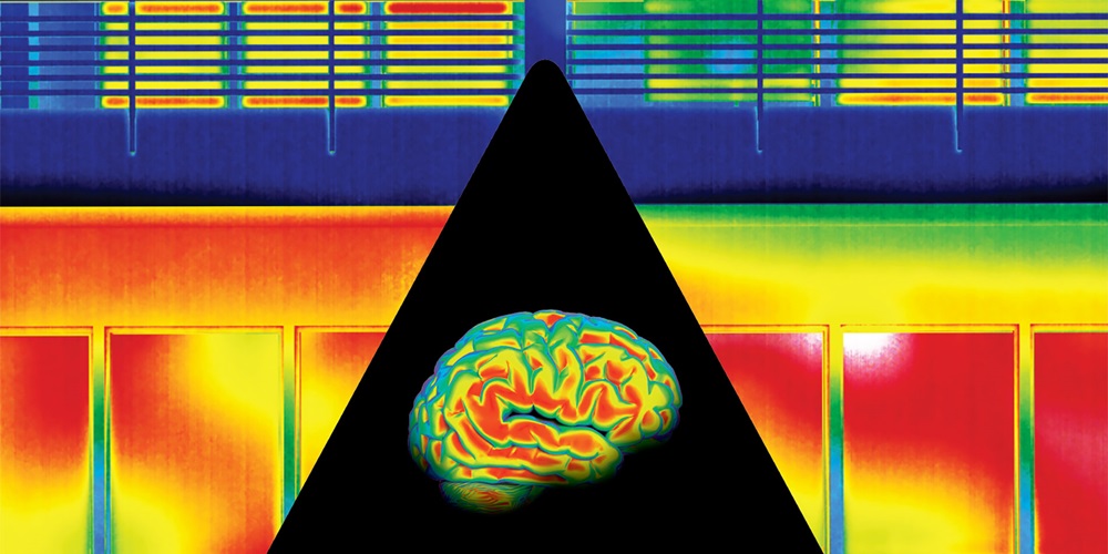 Building Brains: The advance of grid interactivity - Electrical ...