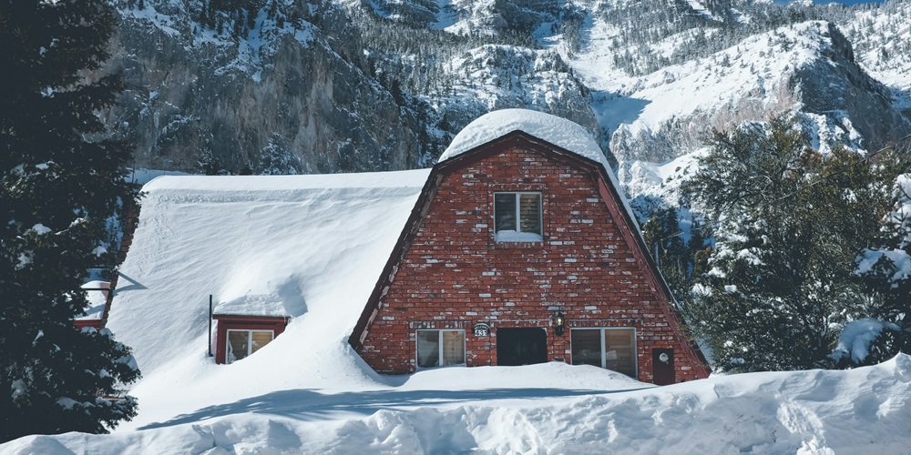Strengthening the Resilience of Electrified Homes Against Extreme ...