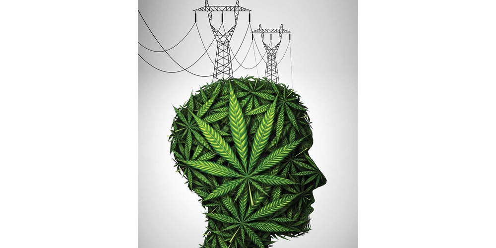In the Weeds of Energy Use: Home marijuana growers in Michigan must ...
