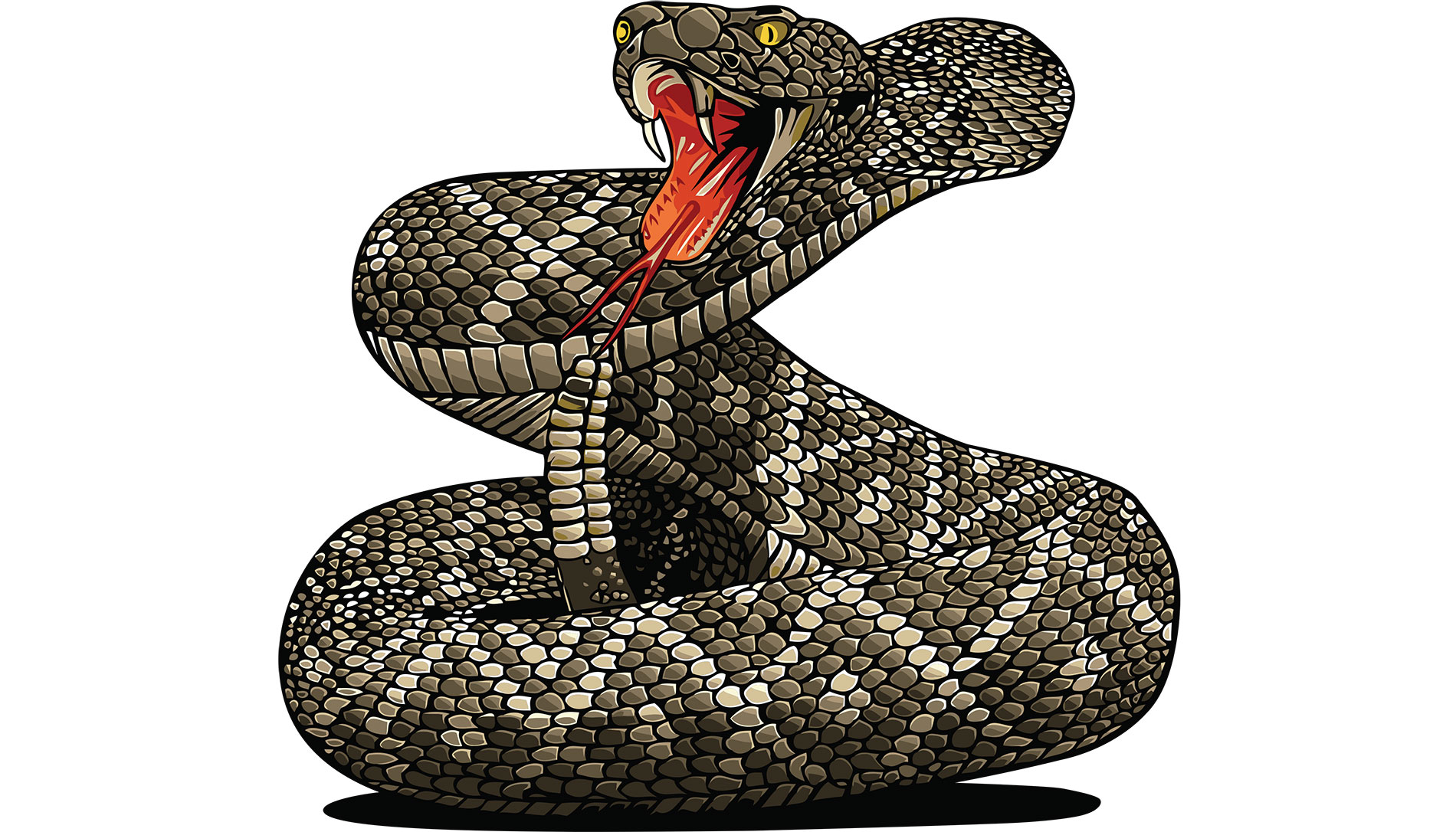 Western Diamondback Rattlesnake Tattoos