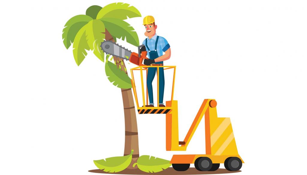 Rules and Tools for Tree Care: General industry standards for ...