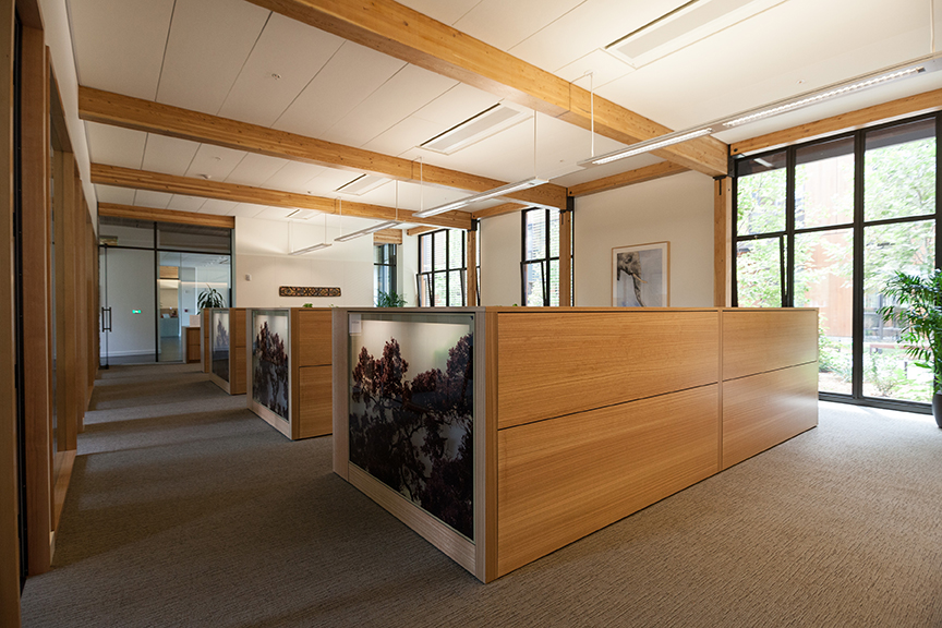 Green Light, Control and Action - Electrical Contractor Magazine