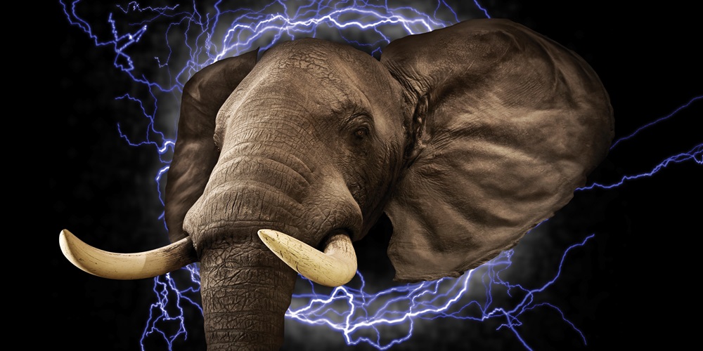 The Elephant In The Room - Electrical Contractor Magazine