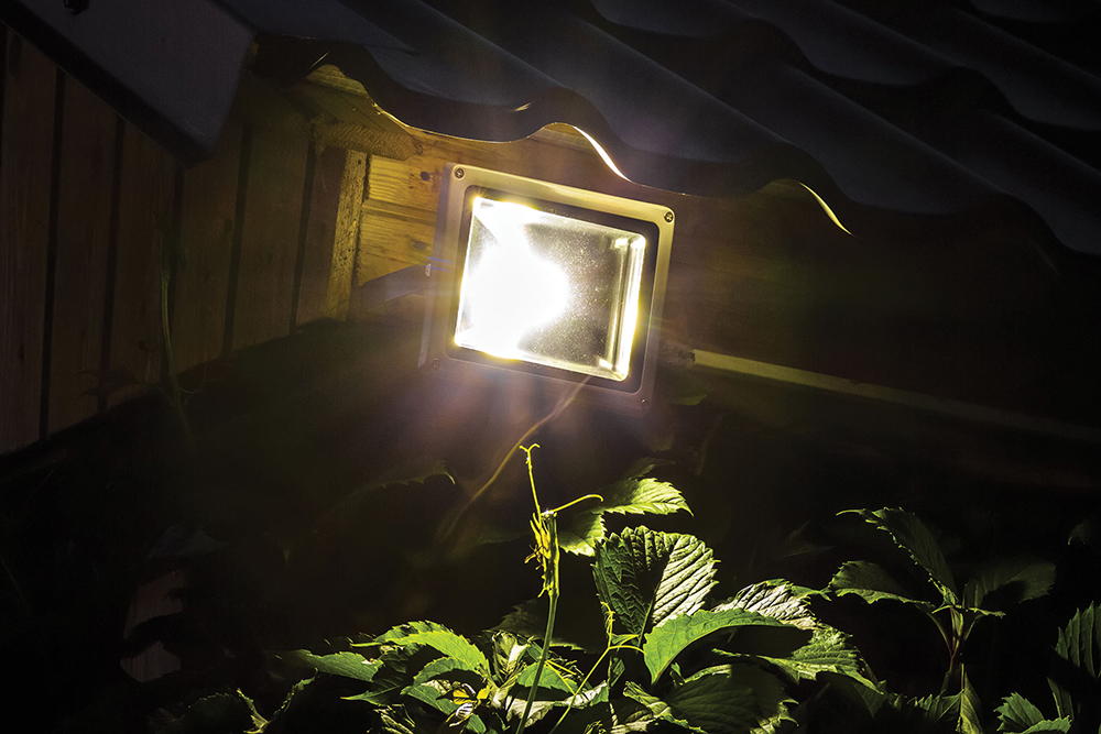 LED Forecast - Electrical Contractor Magazine