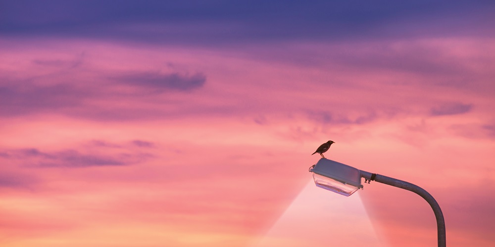 One for the Road: Roadway Lighting - Electrical Contractor Magazine