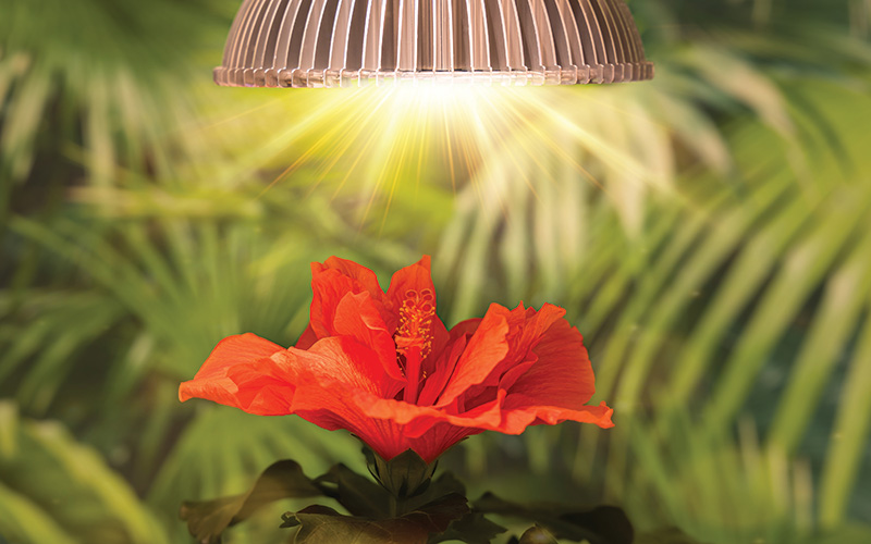 Building Lighting Efficiency: ASHRAE standard 90.1-2022 decoded ...