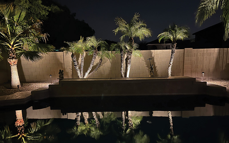 Creating the Right Look: Low-voltage landscape lighting for homes ...